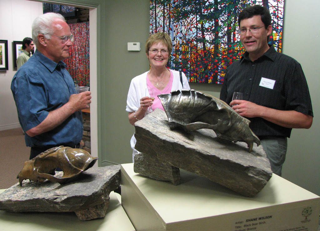 About The Artist « Shane Wilson